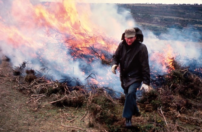 Why do Dartmoor Commoners continue to burn the moor? | okehampton-today ...