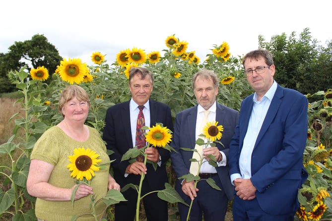 West Devon Borough Council stands in unity with Ukraine | okehampton ...