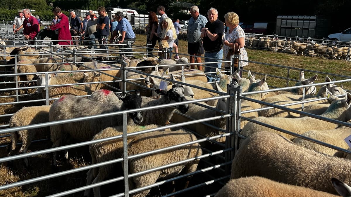 Chagford Market attracts largest entry of year | okehampton-today.co.uk