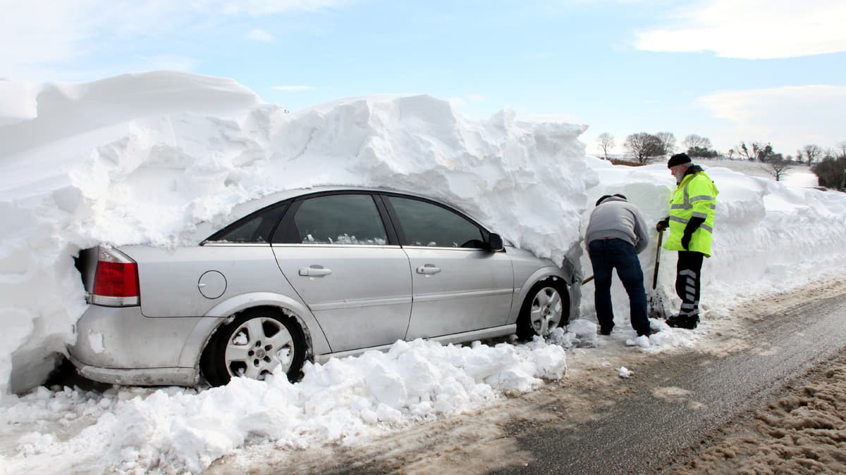 FIVE YEARS AGO: The Beast from the East 2018 in West Devon | okehampton ...