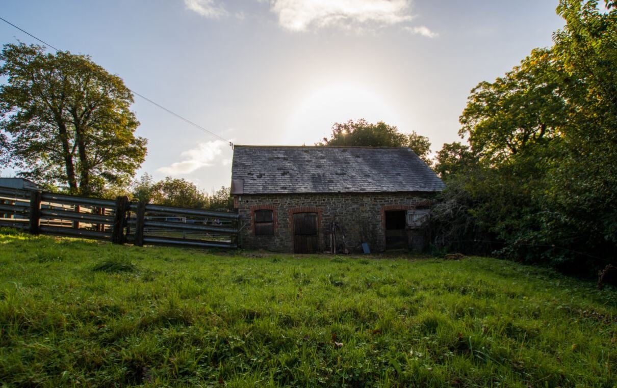 Dartmoor Multi Academy Trust to open new school farm | okehampton-today ...