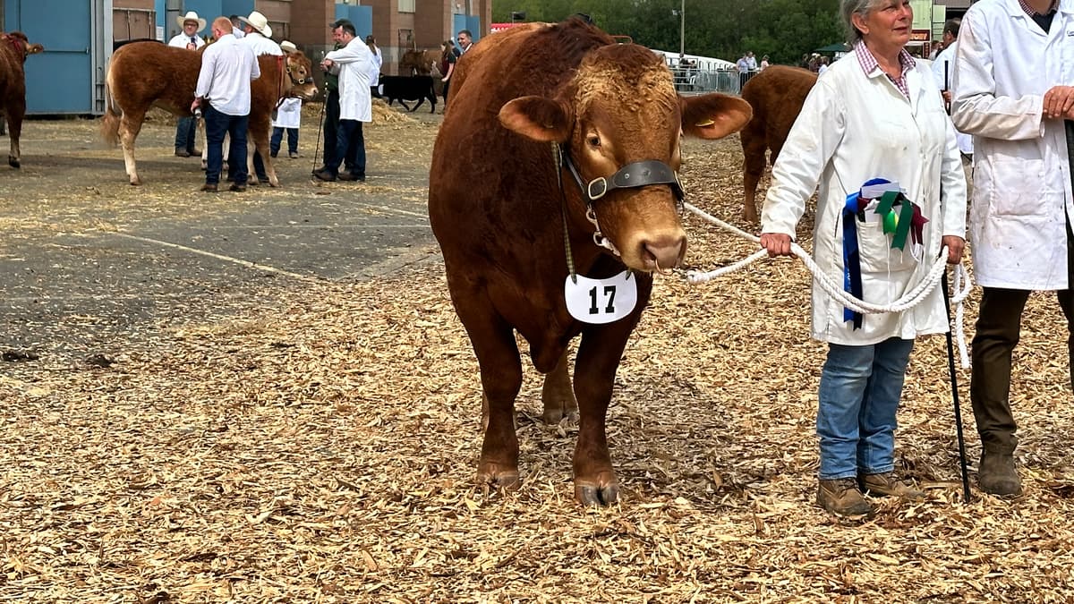 PICTURES: Devon County Show 2024 | okehampton-today.co.uk