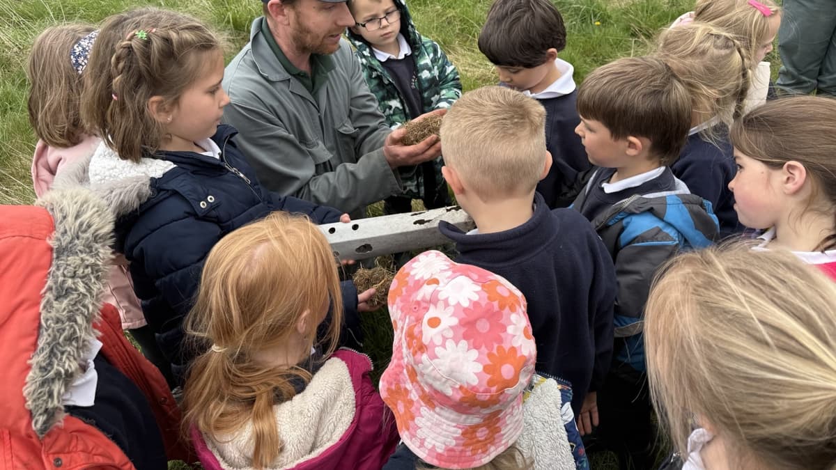 Charity invites local pupils to explore Nethercott Farm | okehampton ...