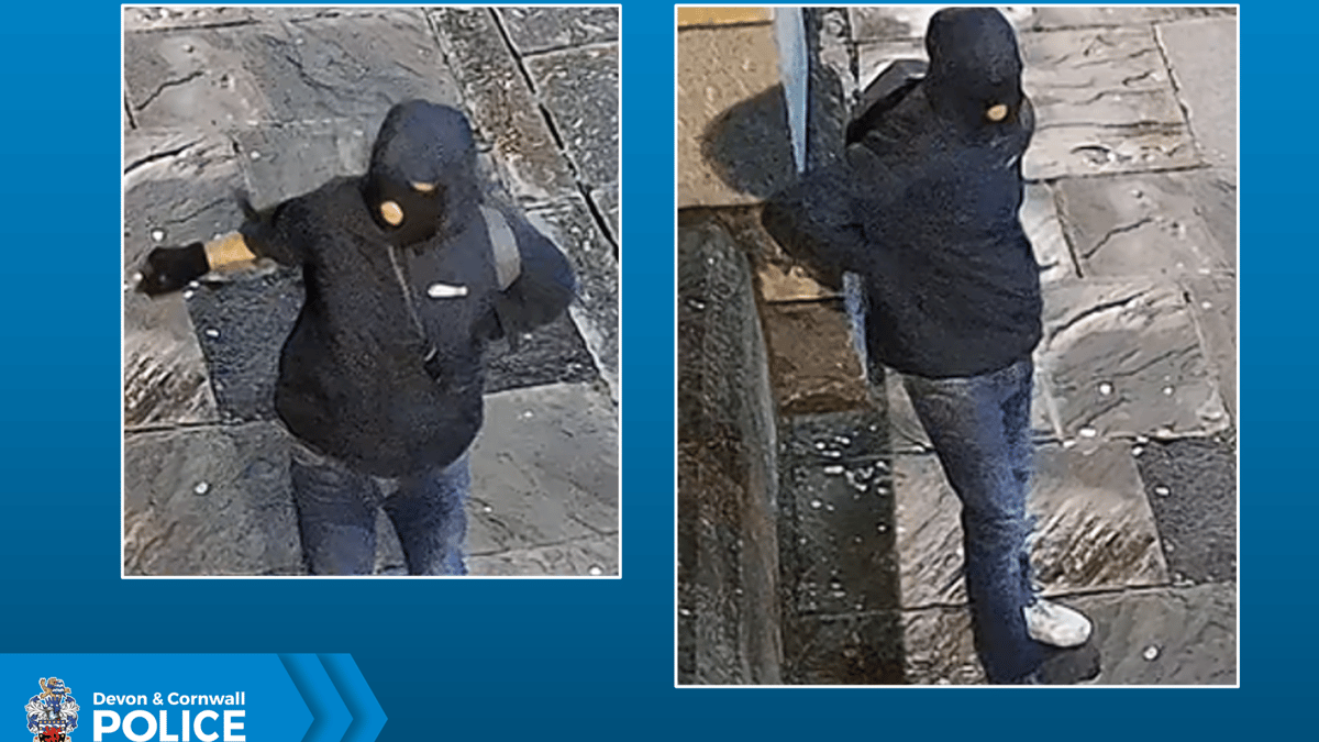 Exeter museum burglary: man sought by police, images of stolen items ...